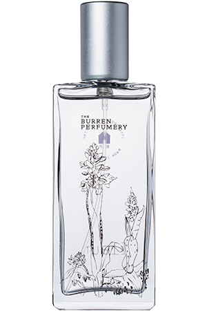 Ilaun Eau de Parfum - Irish Perfume – The Burren Perfumery