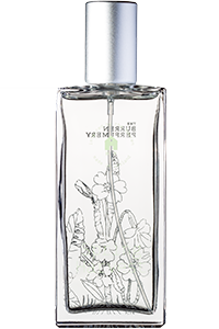 Spring Harvest Eau de Toilette - Irish Perfume – The Burren Perfumery