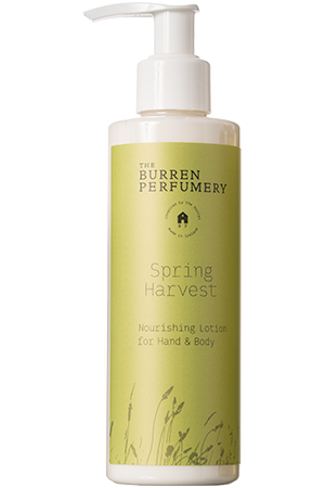 Spring Harvest Body Lotion – The Burren Perfumery